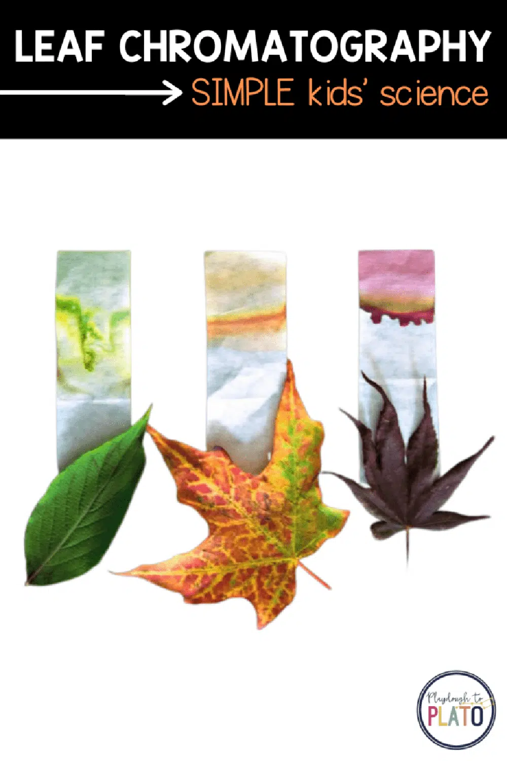 Creative Crafts With Fall Leaves For Kids